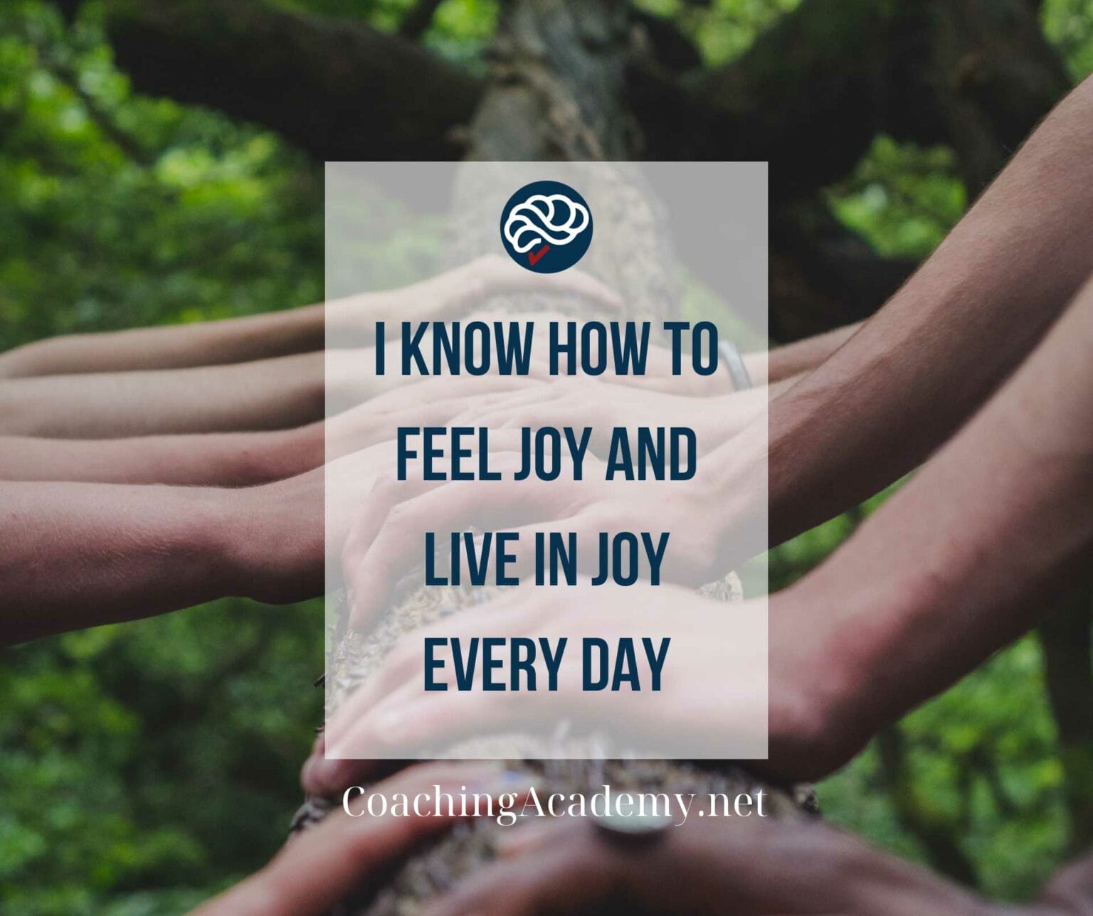I Know How To feel Joy & Live In Joy Every Day - Coaching Academy
